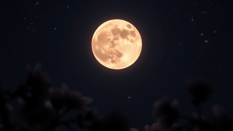 Spiritual Meanings Of Micro Flower Moon 2025